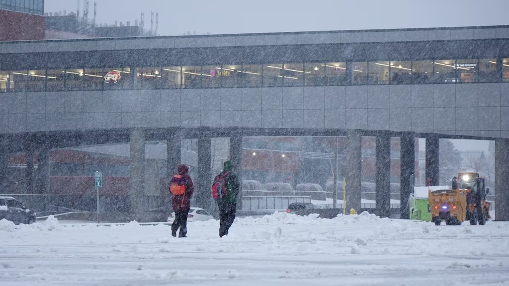 Spring storm maaari magdala ng 40 cm ng snow sa Avalon Peninsula simula ...