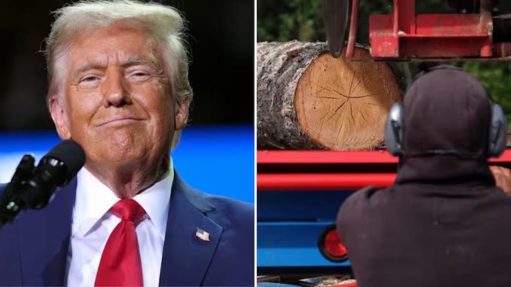 Trump says imports of wood products may pose national security threat ...