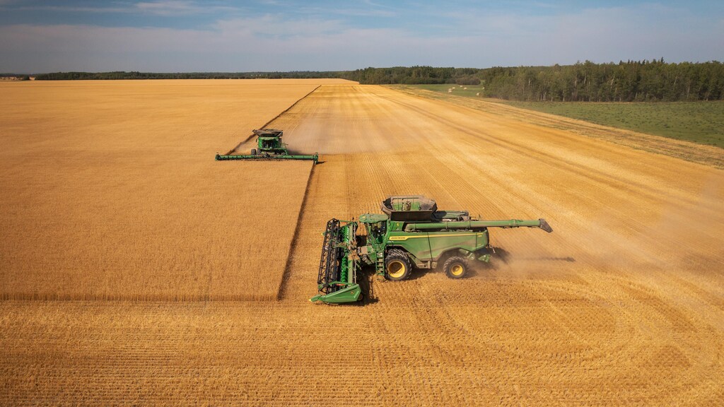 Une année record pour les récoltes dans les Prairies | Radio-Canada.ca