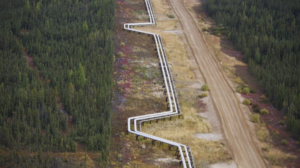 The Trans Mountain expansion is finally pumping oil | Radio-Canada.ca