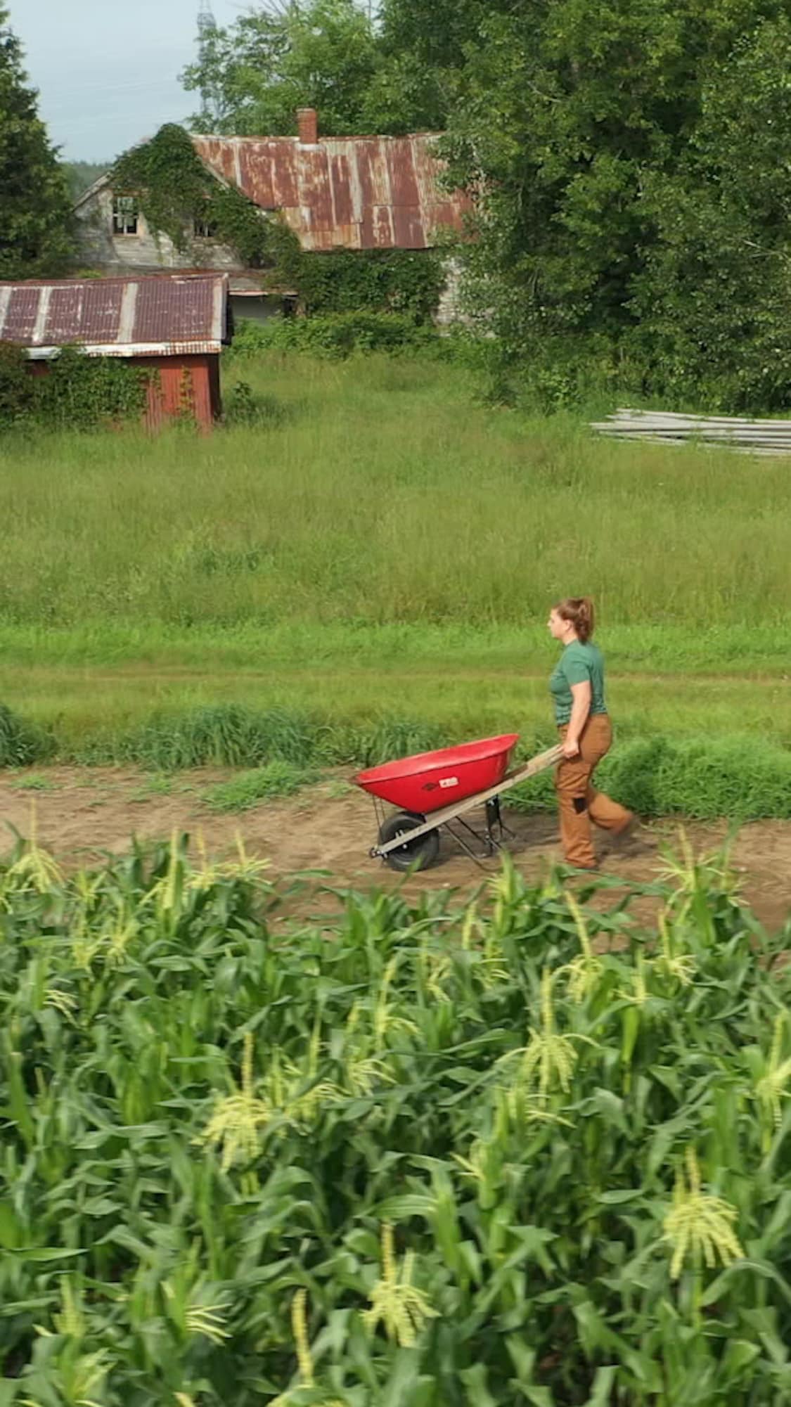 Relève agricole, un chemin semé d’embûches – Alicia | Radio-Canada.ca