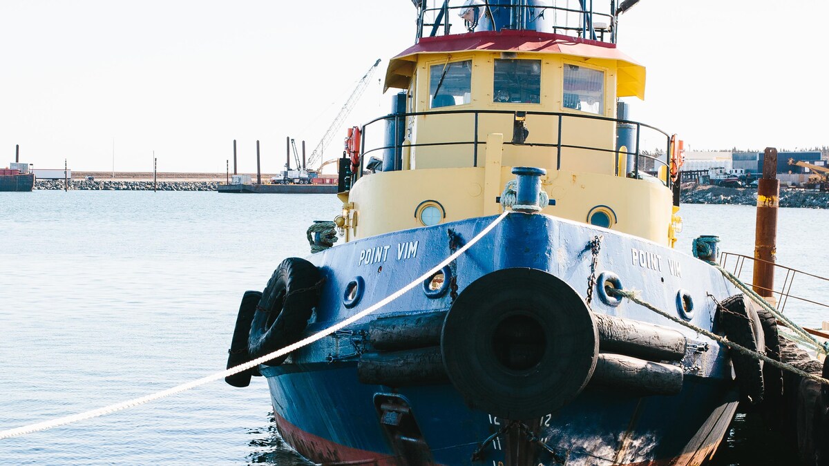 La vie de crevettier | Savourer x Mordu