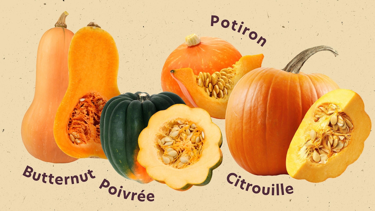 4 courges, 4 potages : tout pour créer votre recette | Mordu