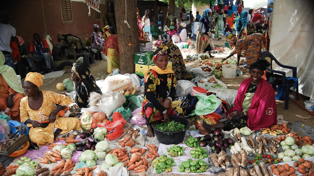 Les marchés du Sénégal | Savourer x Mordu