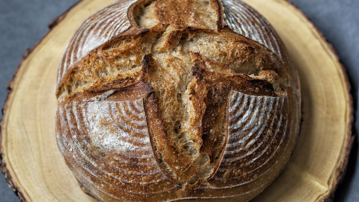Pain français sur poolish | Mordu