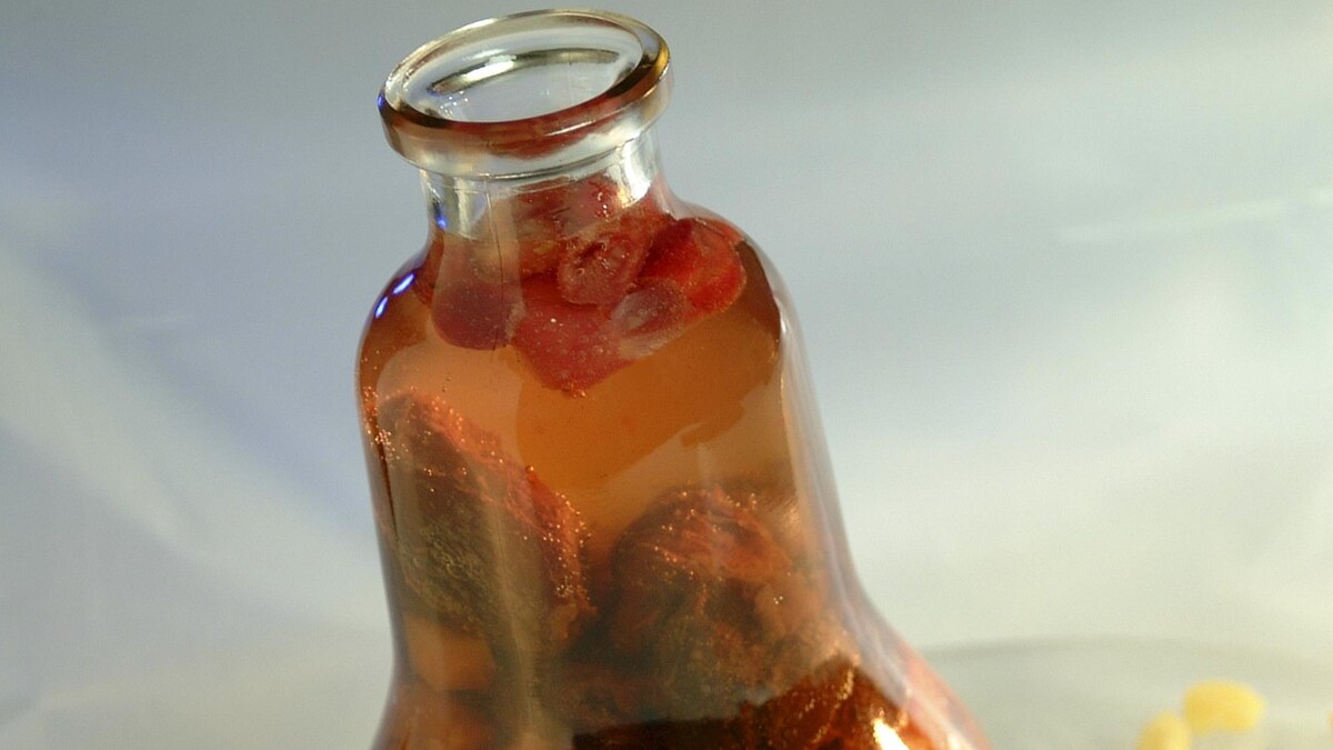 Vin de fruits secs et de pimbina | Mordu