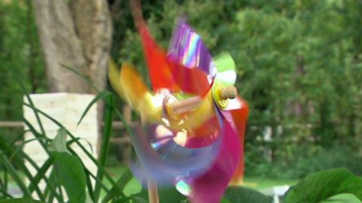 Le Festival Botany in Motion débute au centre culturel St. Norbert | Le ...