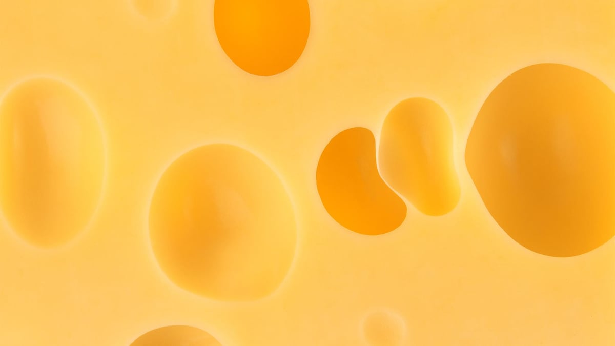 Emballer un fromage, c’est gérer un écosystème | OHdio | Radio-Canada