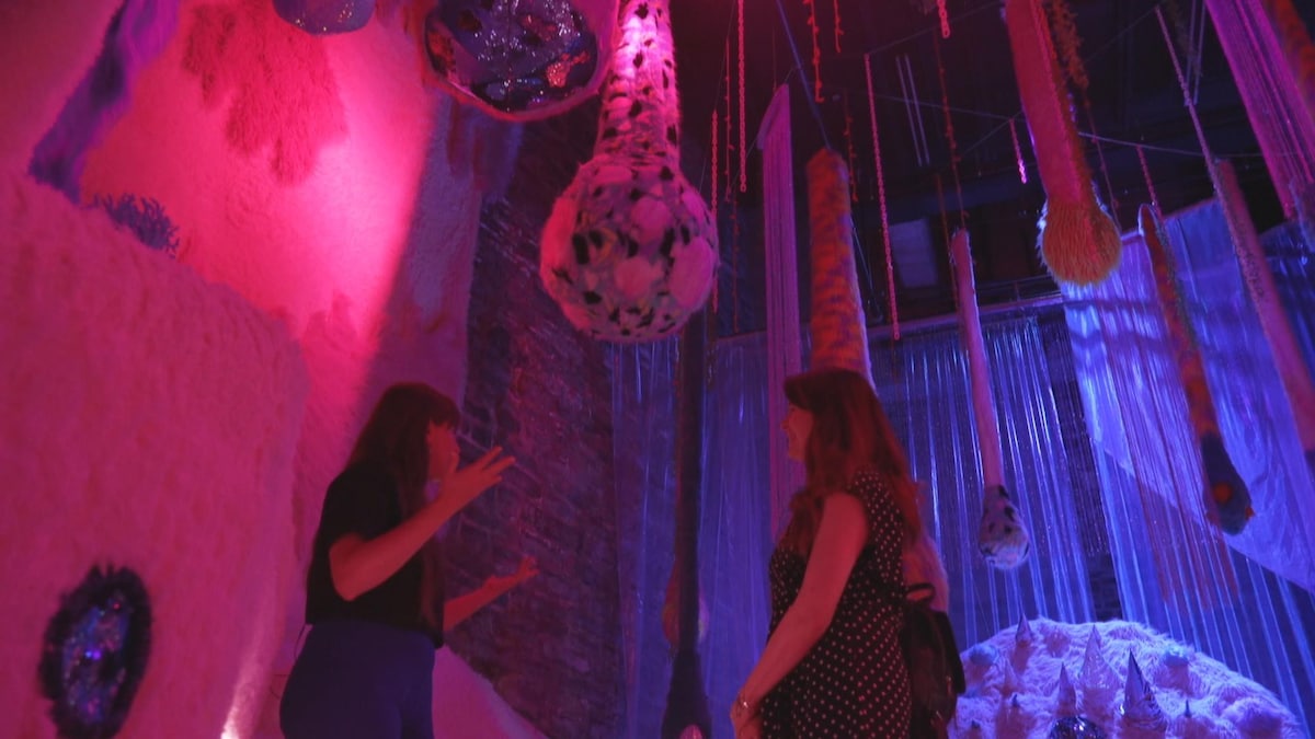 Incursion dans l'exposition Abysses | Le téléjournal Québec