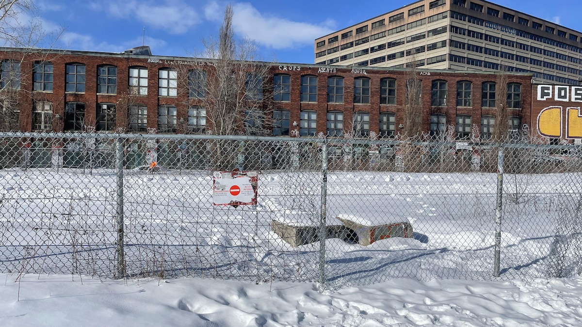 Fanny Samson | Profil | Radio-Canada