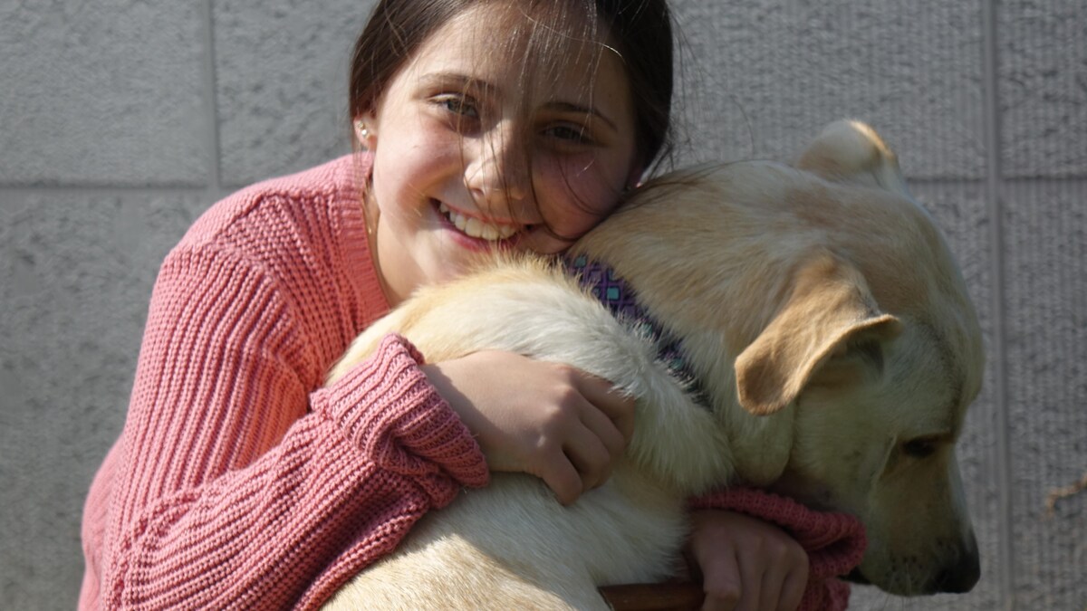 Adopter un animal de compagnie pour briser l'ennui | Le téléjournal Québec