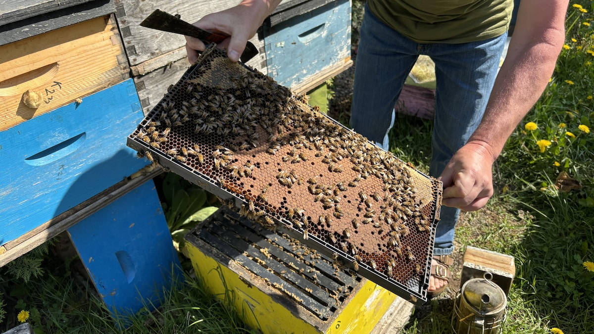 L’importance de la biodiversité après un hiver difficile pour les ...