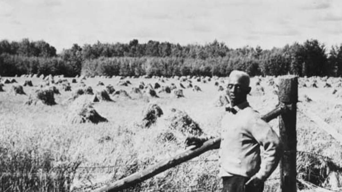 Découvrez l'histoire perdue de l'Ouest canadien avec Noirs dans les ...
