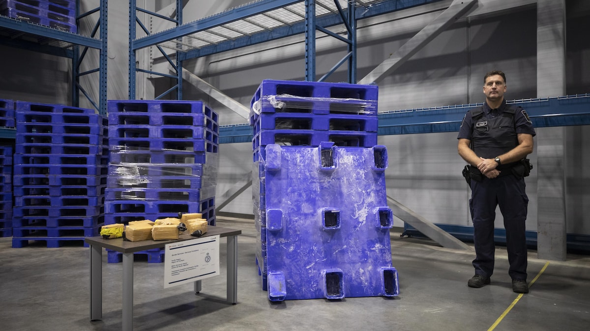 Saisie record d'opium | Le téléjournal Colombie-Britannique