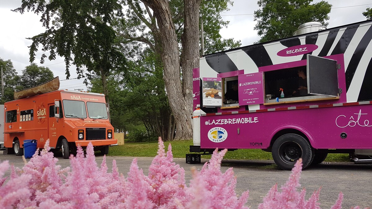 David Rémillard | Profil | Radio-Canada