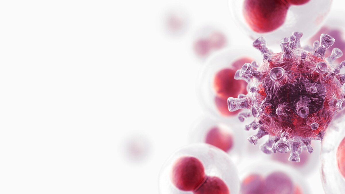 En continu | Science | Radio-Canada | Page 195