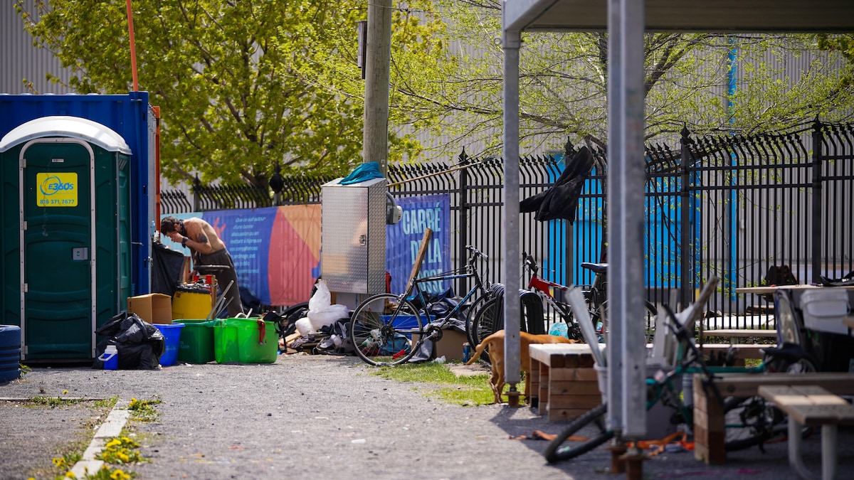 Des cas de violence dénoncés au Carré de la fosse | Le téléjournal Mauricie