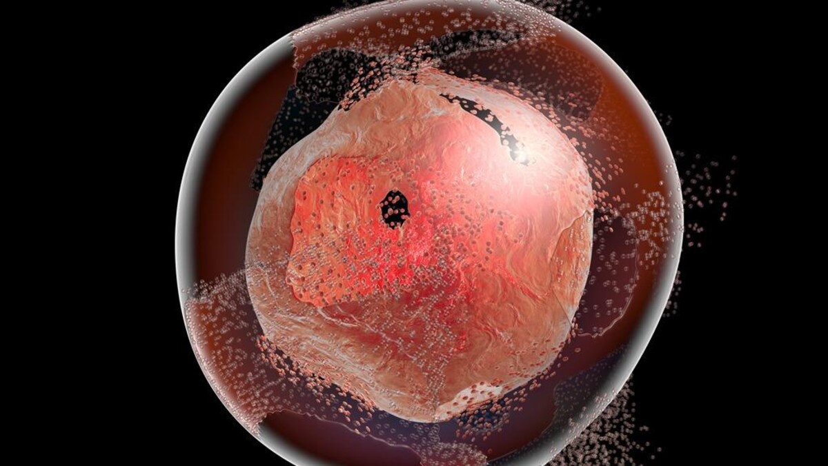 En continu | Science | Radio-Canada | Page 250