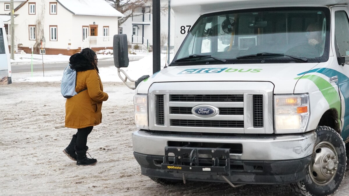 Le billet de Citébus augmente de 0,25 $ à Rimouski | Le téléjournal Est ...