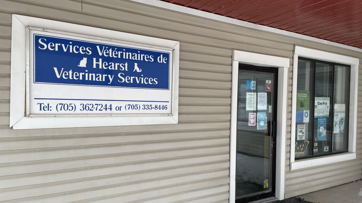 Nick Mongeon | Profil | Radio-Canada