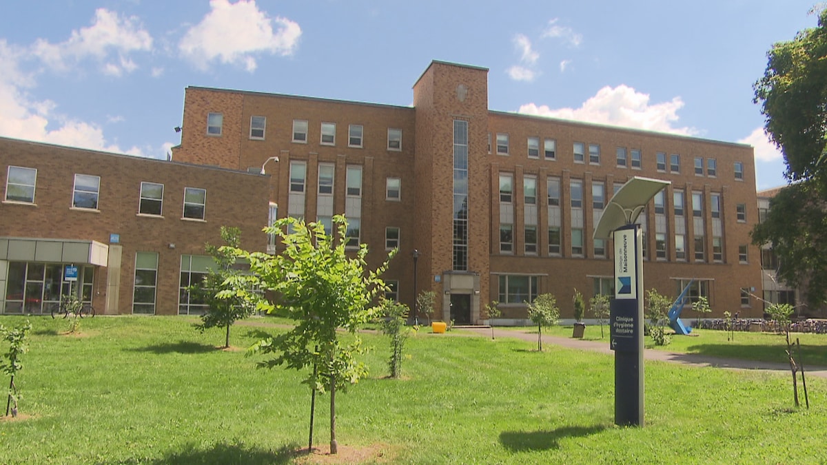 En continu | Grand Montréal | Radio-Canada | Page 254