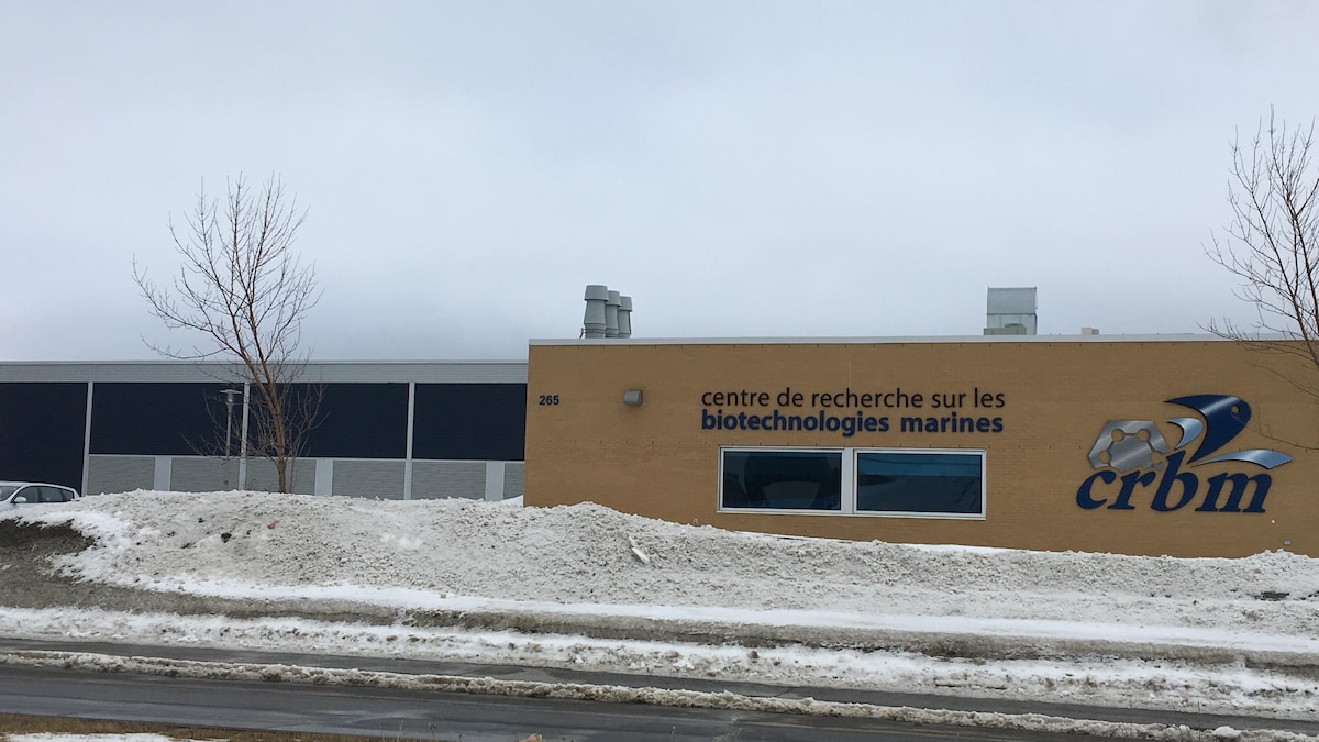 En continu | Science | Radio-Canada | Page 14