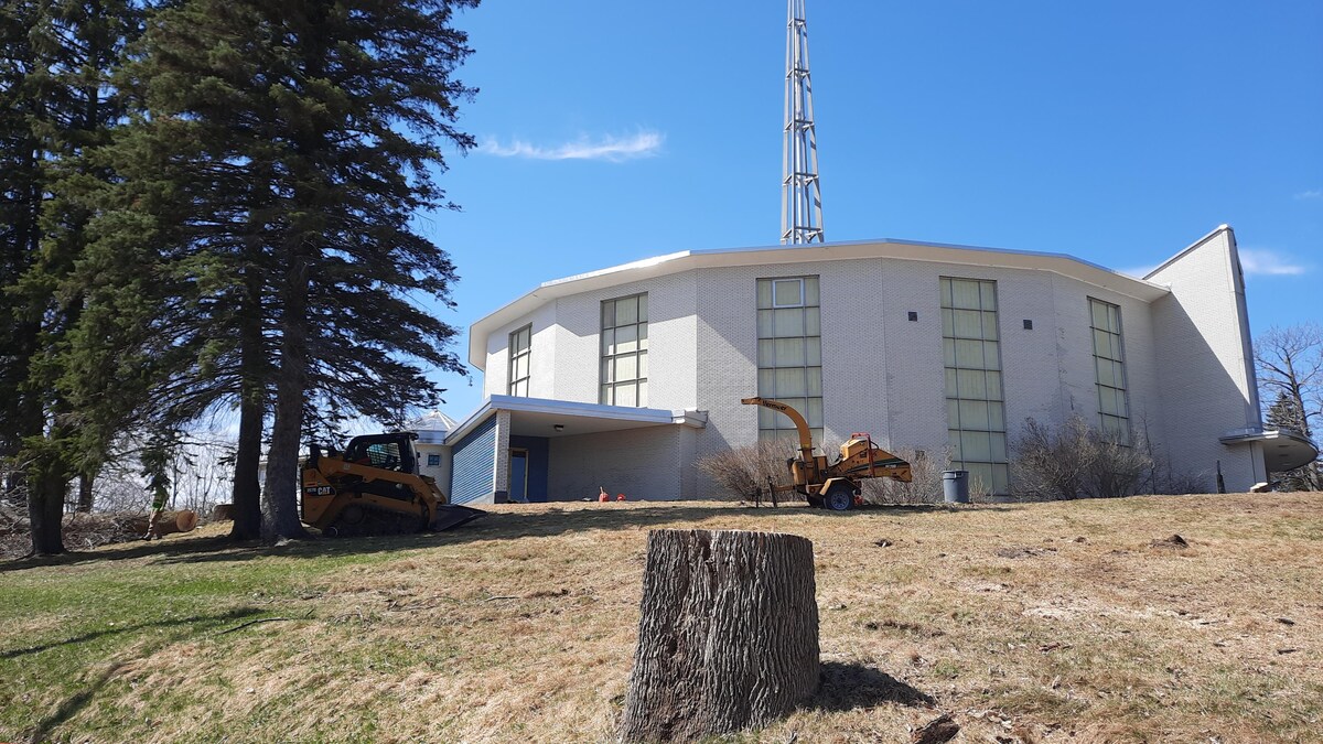 David Rémillard | Profil | Radio-Canada | Page 20