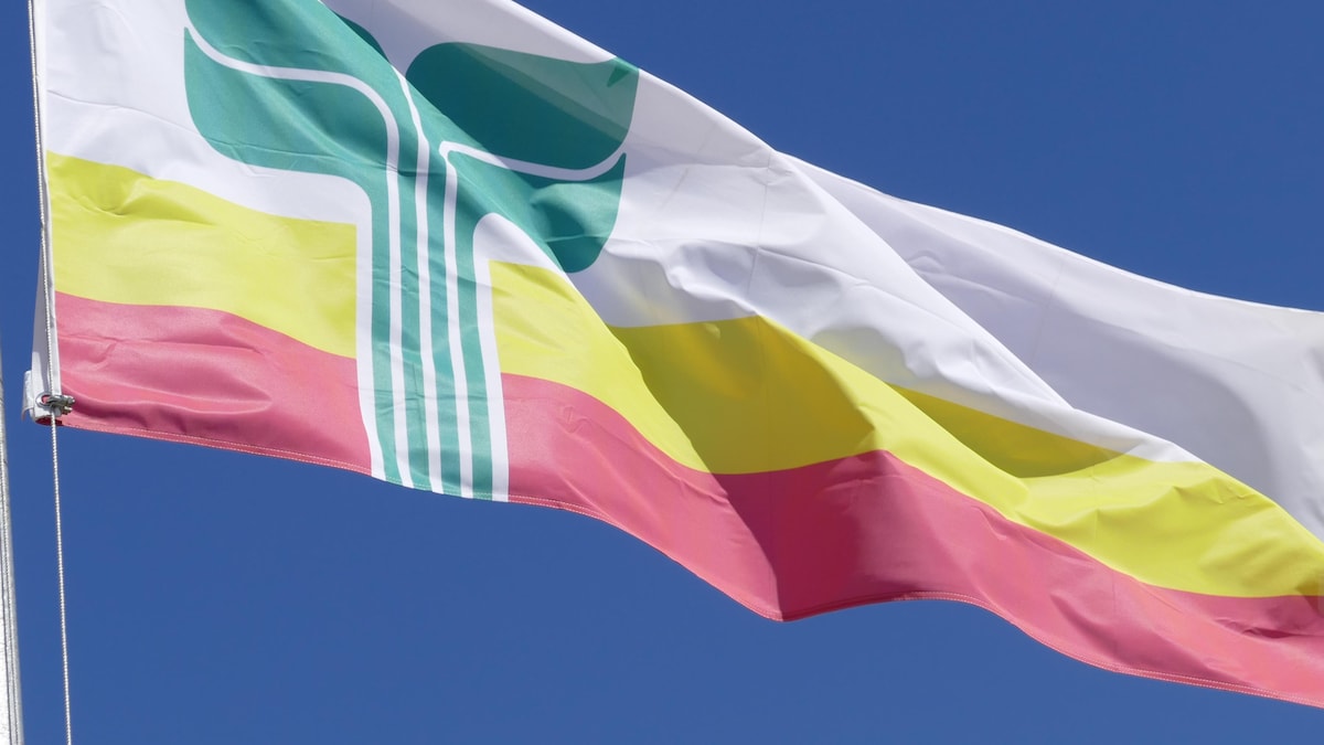 Le NPD du Manitoba courtise les francophones | Le téléjournal Manitoba