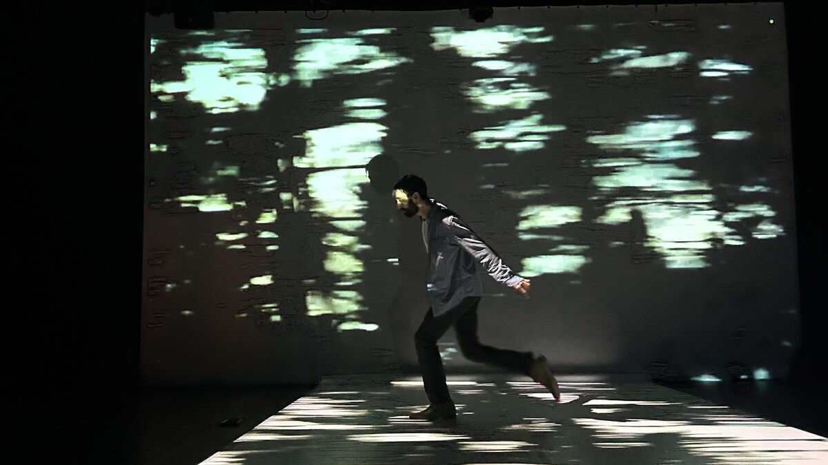 Entre ciel et terre, un spectacle de gigue contemporaine | Le ...