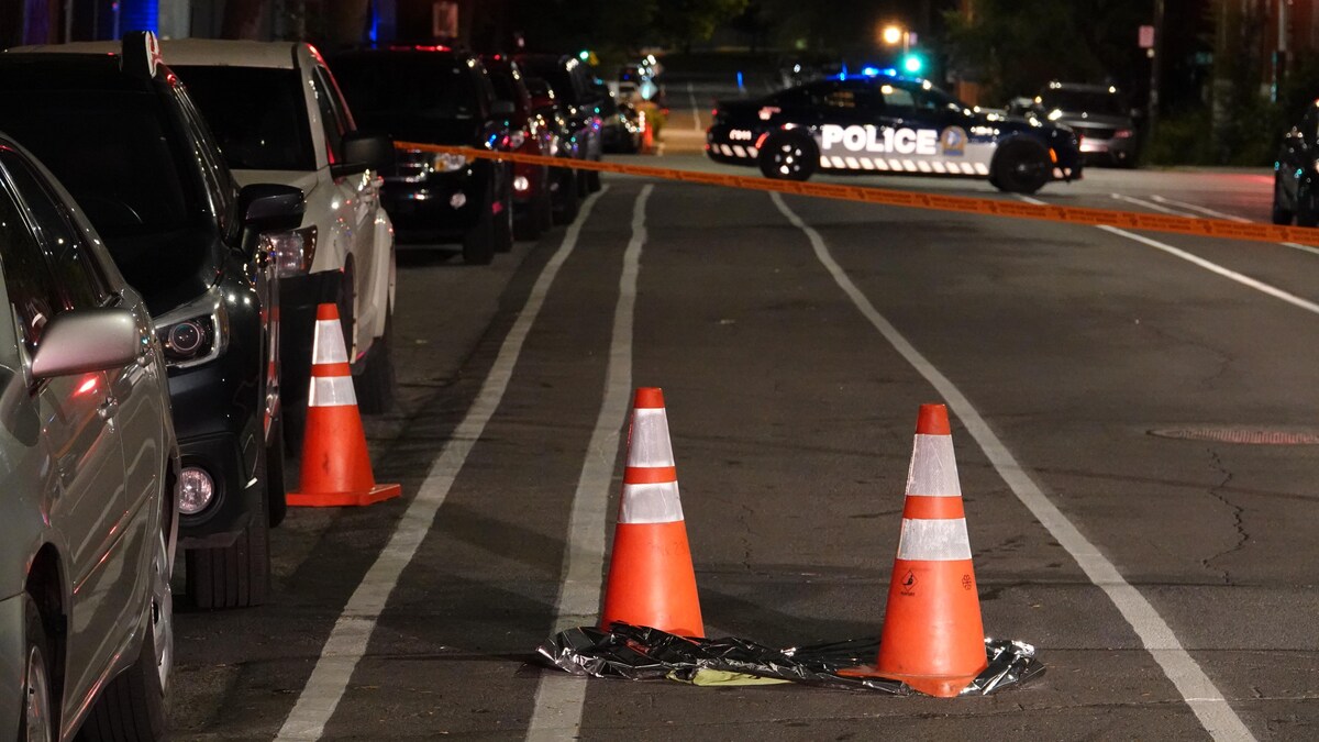 En continu | Grand Montréal | Radio-Canada | Page 259