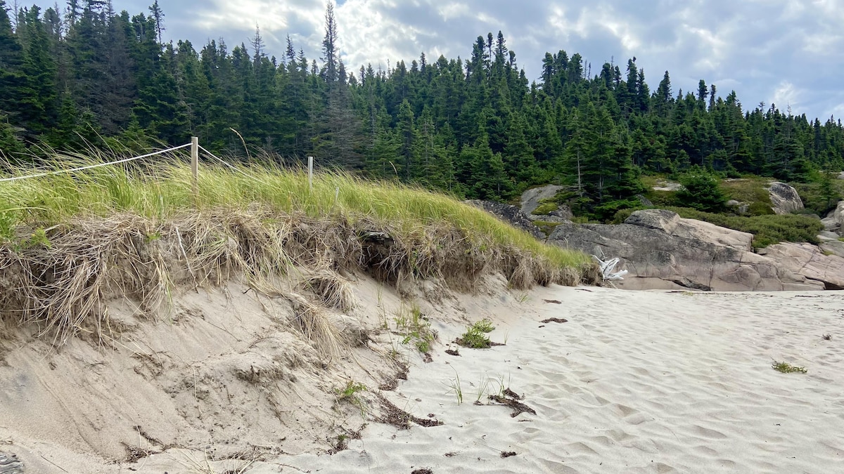 Lutter contre l'érosion des berges de l’île Grande Basque | Le ...