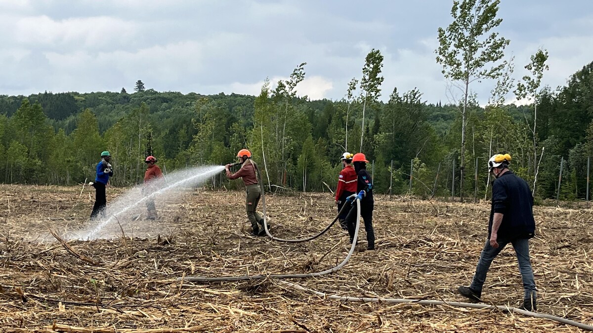 Former beaucoup de pompiers rapidement pour combattre les feux de forêt ...