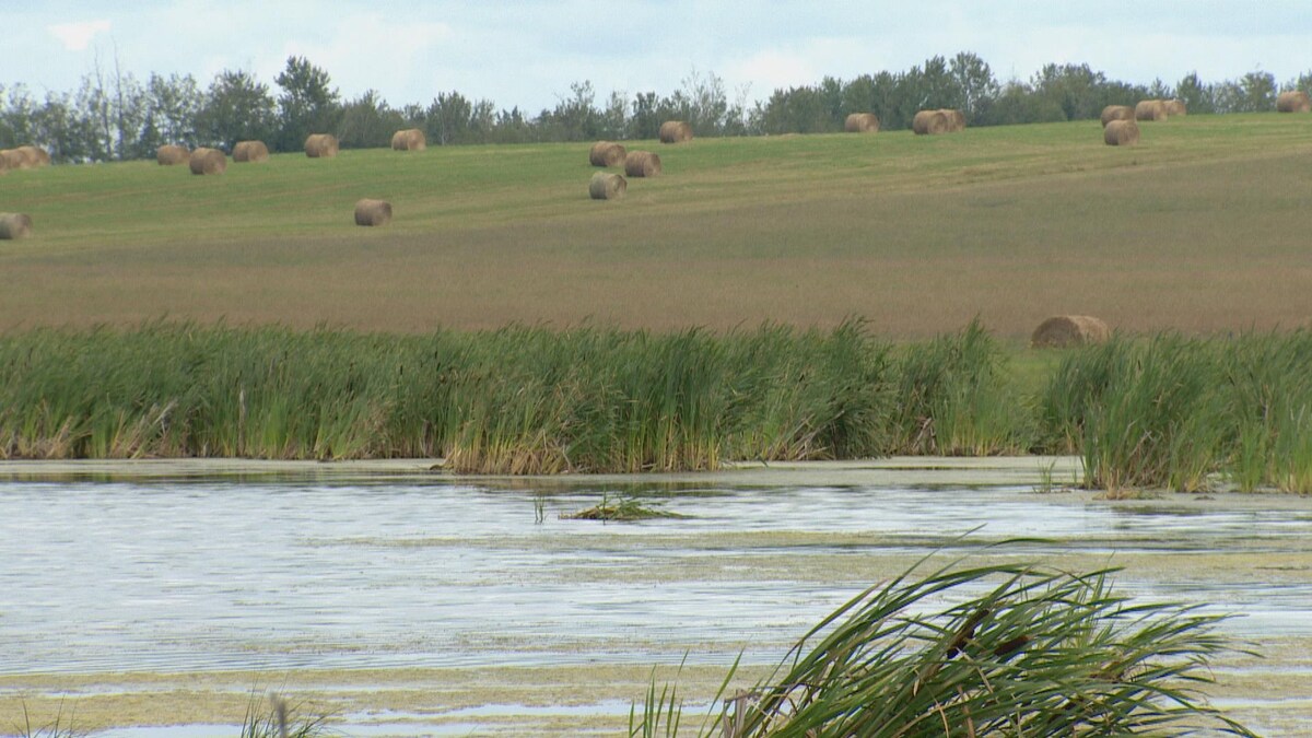 En continu | Environnement | Radio-Canada | Page 329