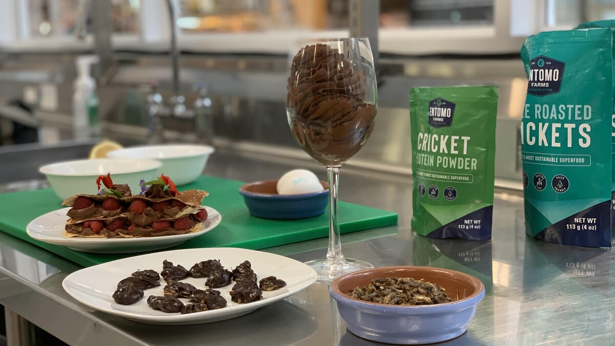 Passez de la viande aux insectes | Le téléjournal Québec