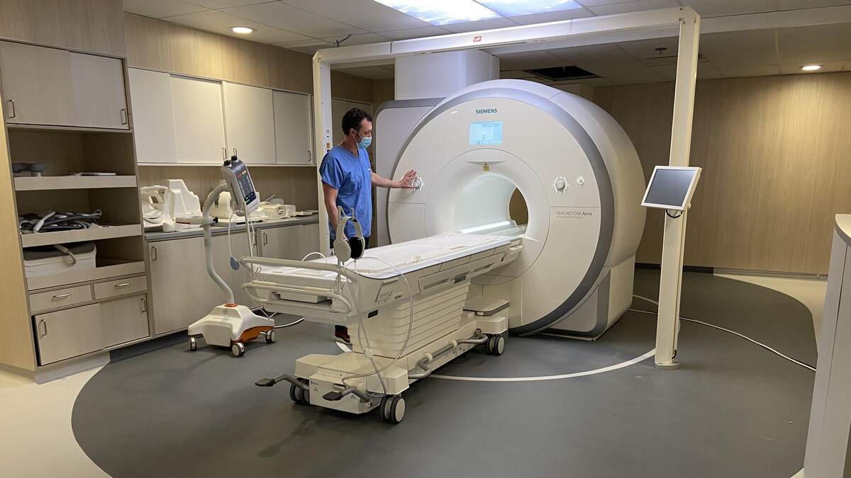 Martin Guindon | Profil | Radio-Canada