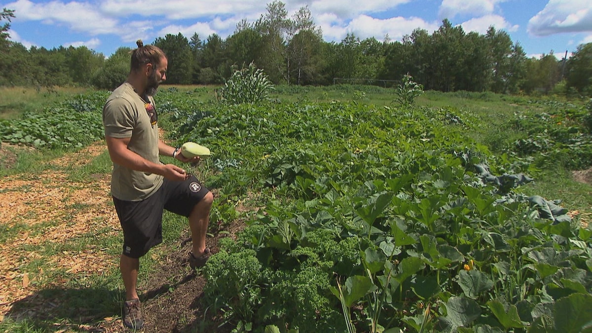 En continu | Estrie | Radio-Canada | Page 243