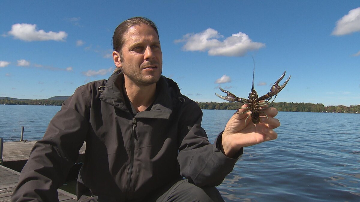 Maxime Poiré | Profil | Radio-Canada