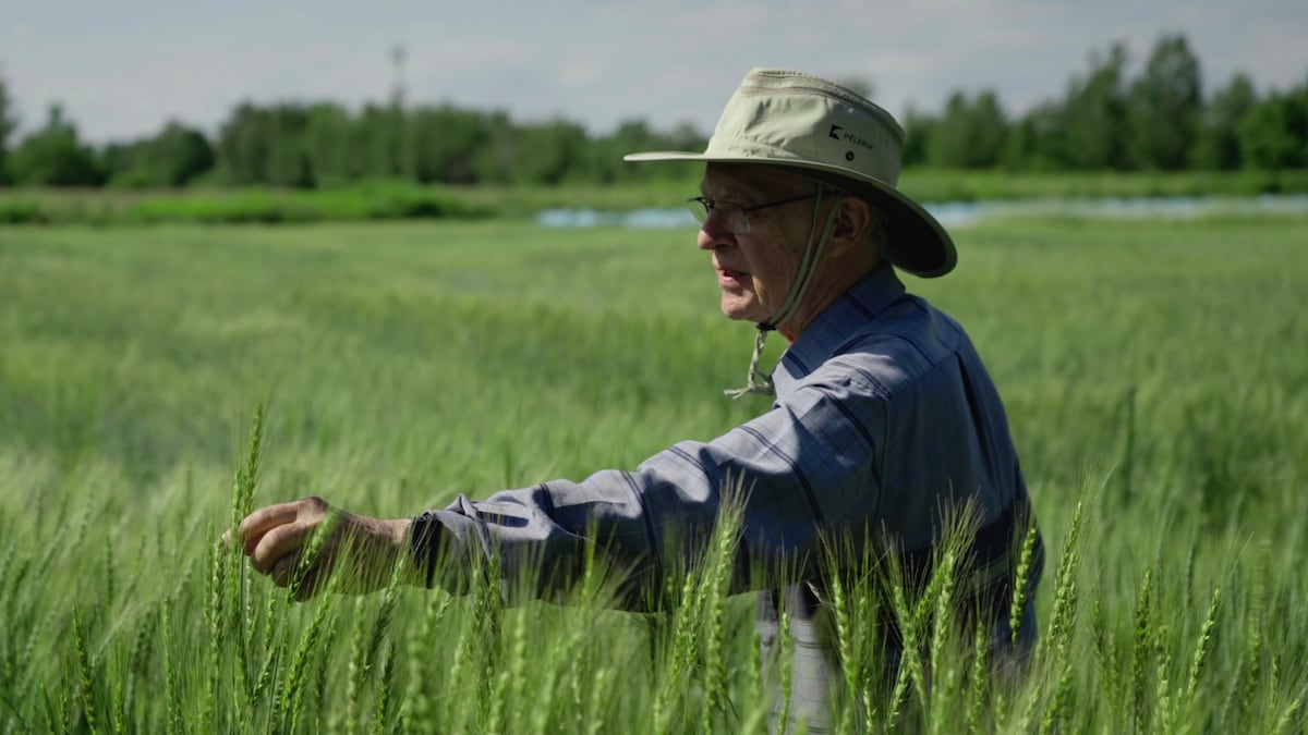 André Comeau, l’homme qui plantait des blés | La semaine verte