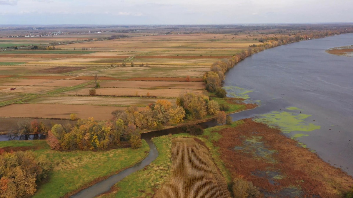 À la rescousse du lac Saint-Pierre | La semaine verte