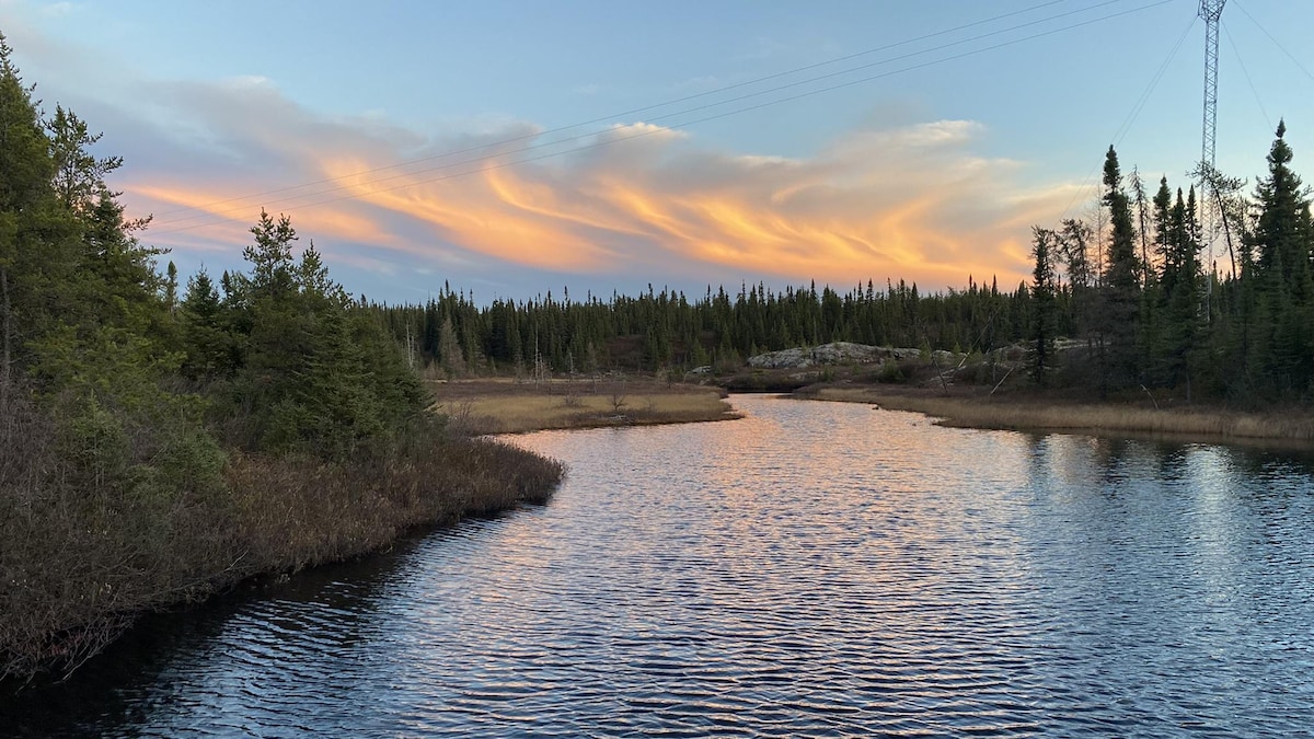 En continu | Environnement | Radio-Canada | Page 16