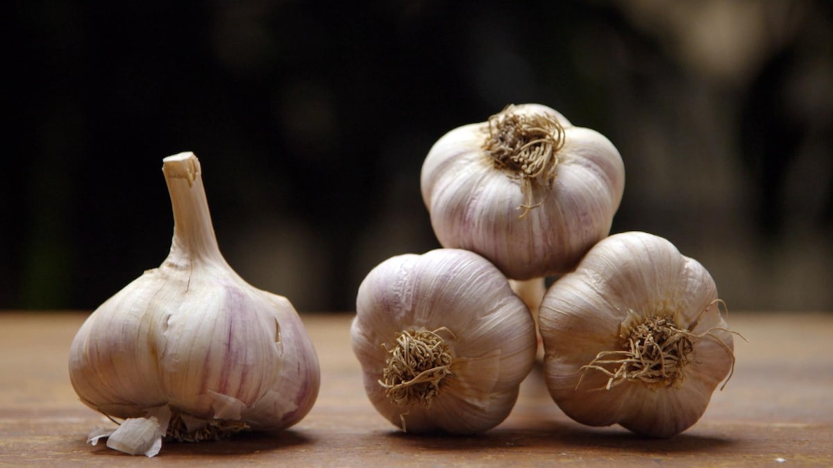 Comment l’ail canadien fait-il sa place sur les tablettes? | Mordu