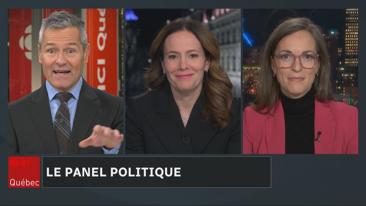 Panel politique : entente avec les médecins, immigration et Pablo ...