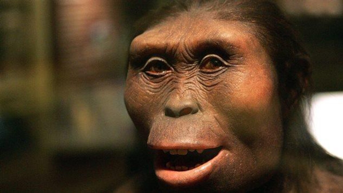 En continu | Science | Radio-Canada | Page 363