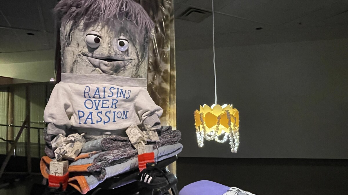 Une exposition en hommage à Joyce Wieland | Le téléjournal Colombie ...