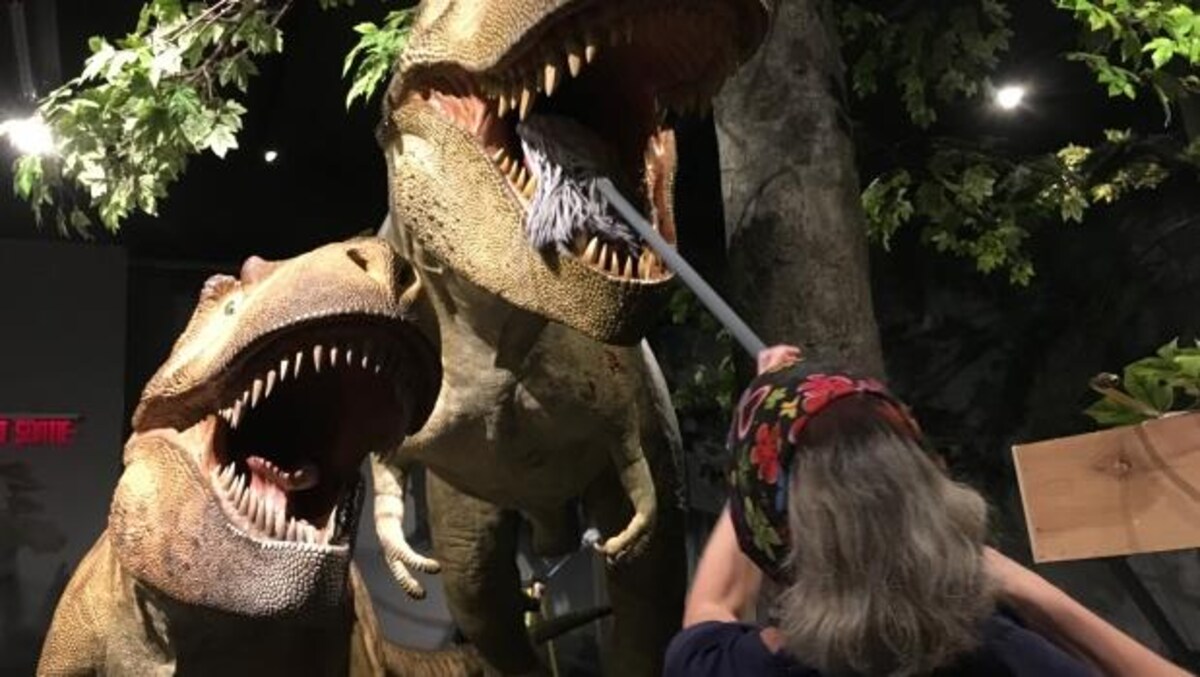 Valérie Lessard | Profil | Radio-Canada | Page 4