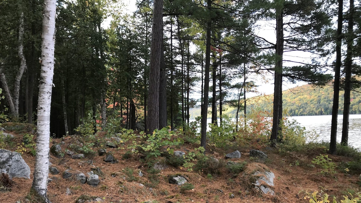 En continu | Abitibi-Témiscamingue | Radio-Canada | Page 306