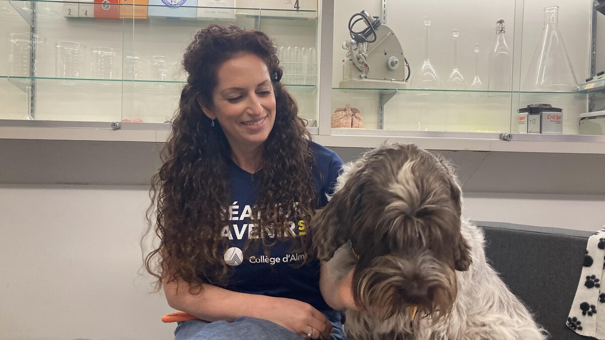 Un chien d’assistance aide les étudiants du Collège d’Alma à surmonter ...