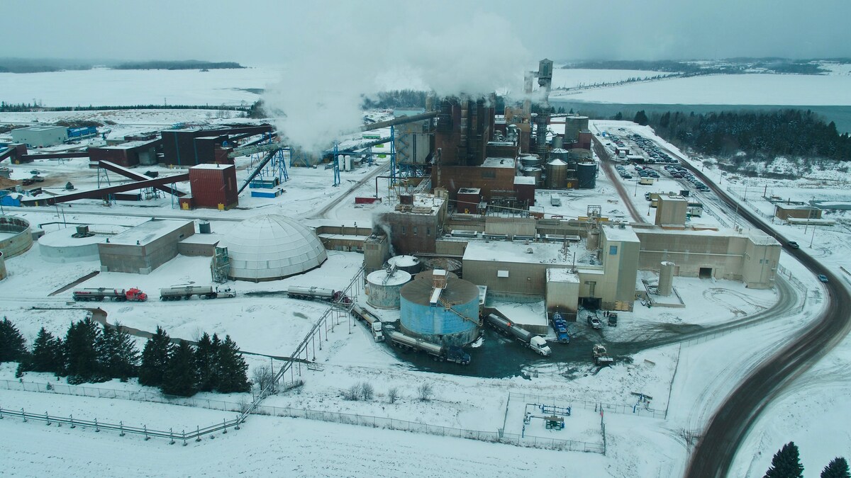 Tim Houston doute que l'usine Northern Pulp redémarre | Le téléjournal ...
