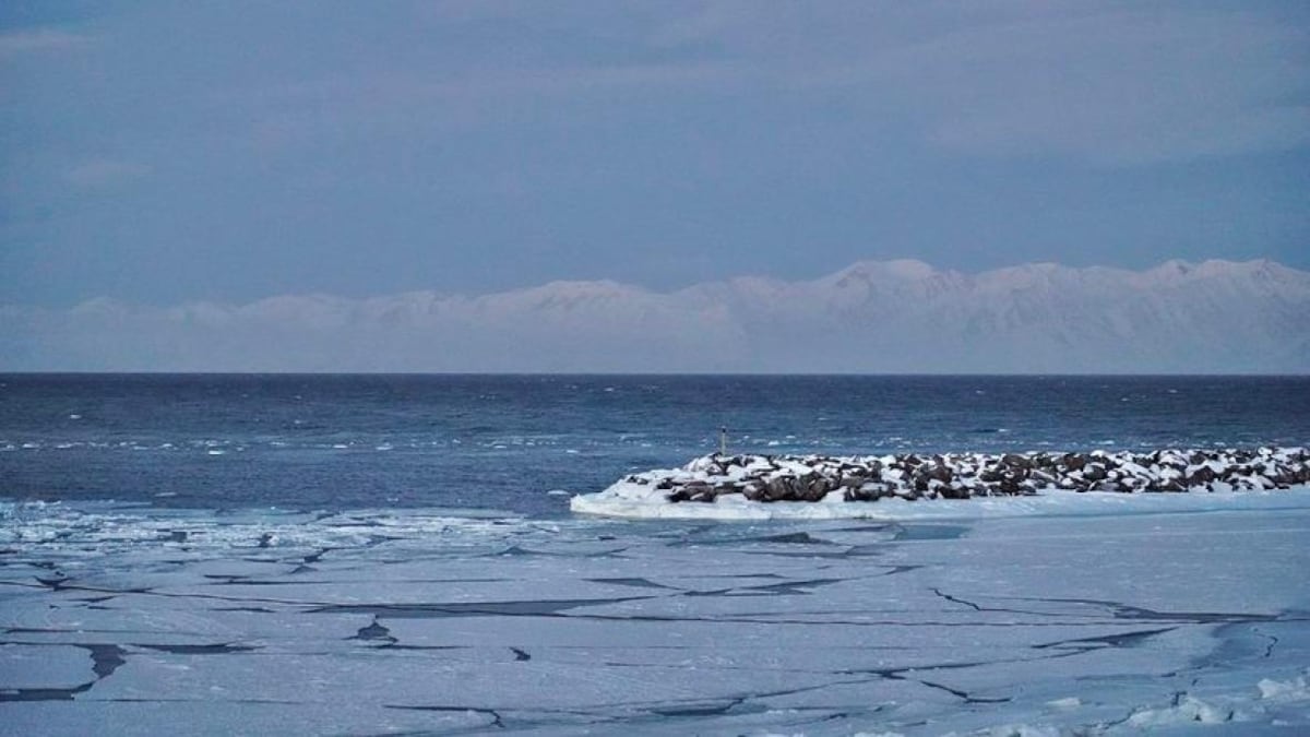 En continu | Grand Nord | Radio-Canada | Page 10