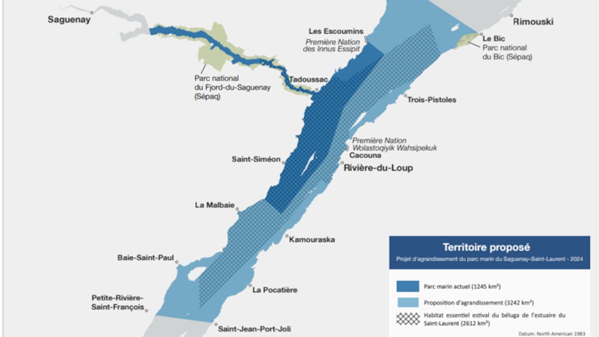 Un parc marin quatre fois plus grand | Le téléjournal Est-du-Québec